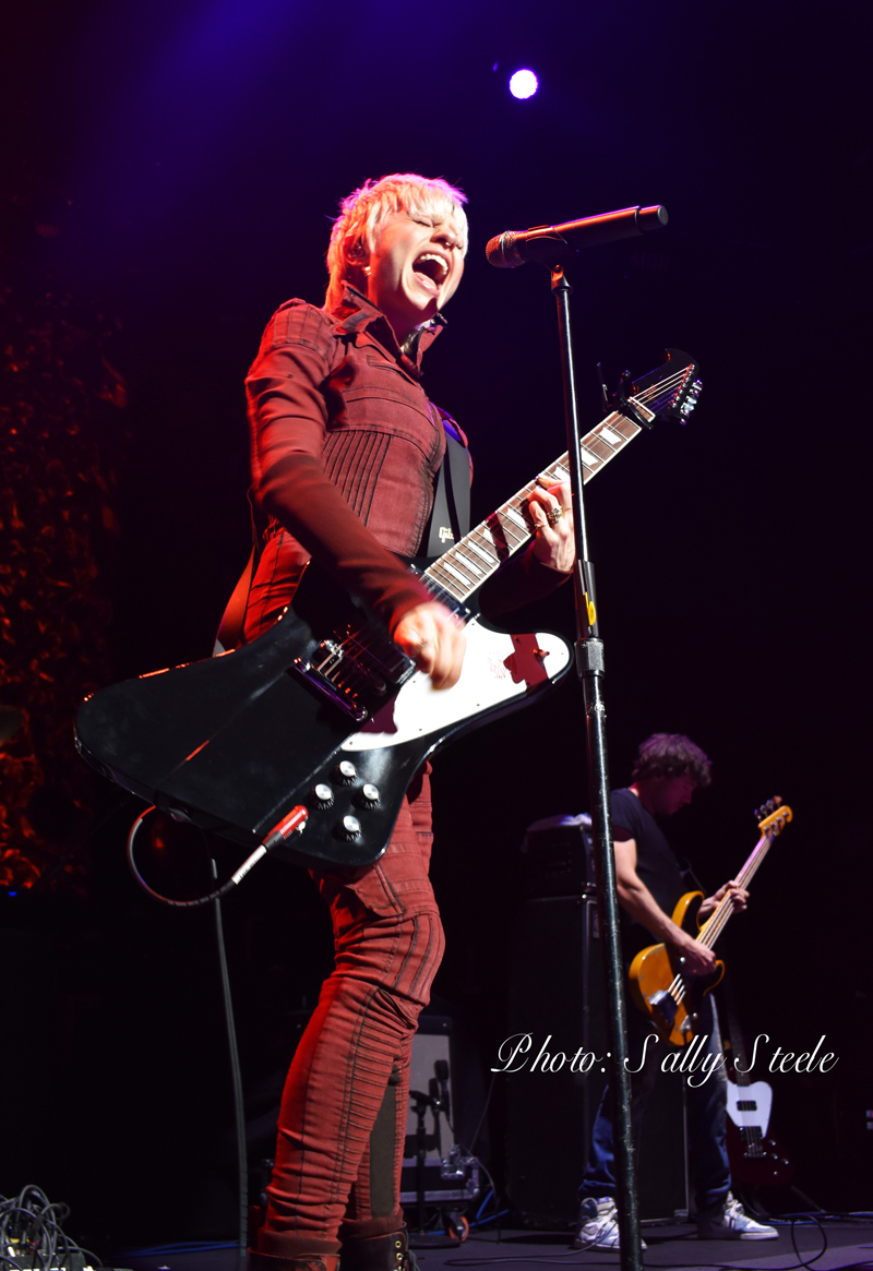 THE WILD THINGS ROCK VEGAS! – Vegas Rocks Magazine